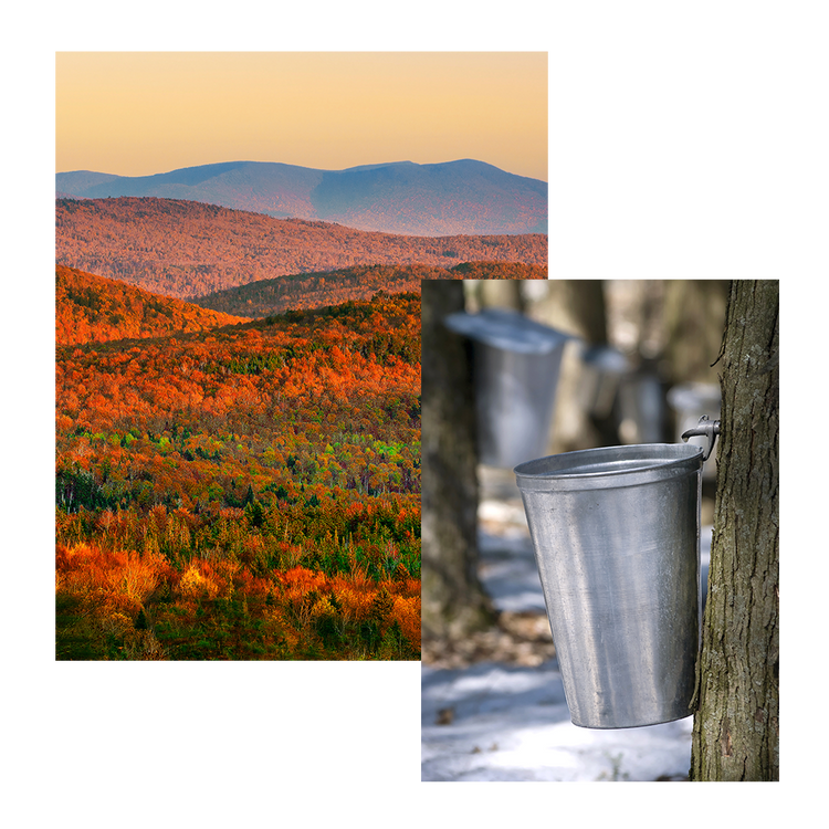 trētap Organic Sparkling Tree Water Made in Vermont